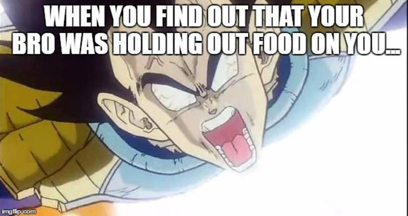 Dragon Ball: 10 Hilarious Vegeta Memes Only True Fans Will Understand