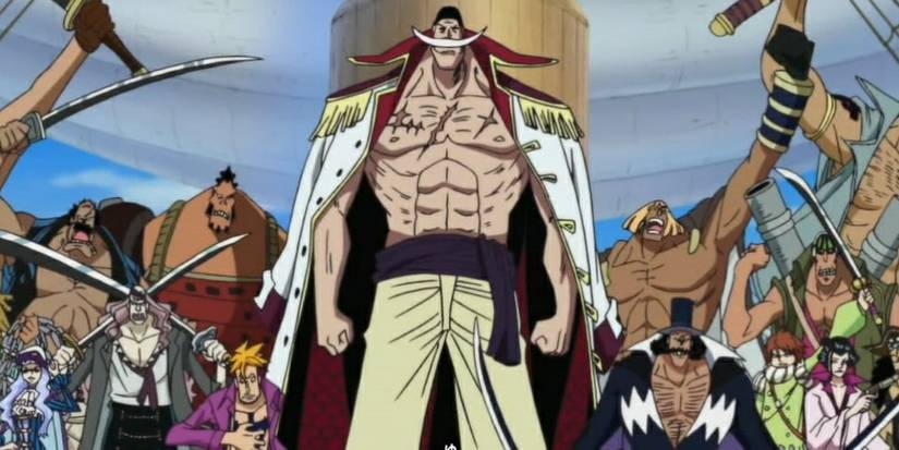 An Underrated One Piece Character Could Play a Key Role Later in the Story