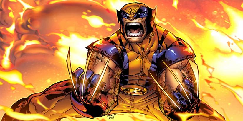 Wolverine Vs Wonder Woman: Who Would Win?