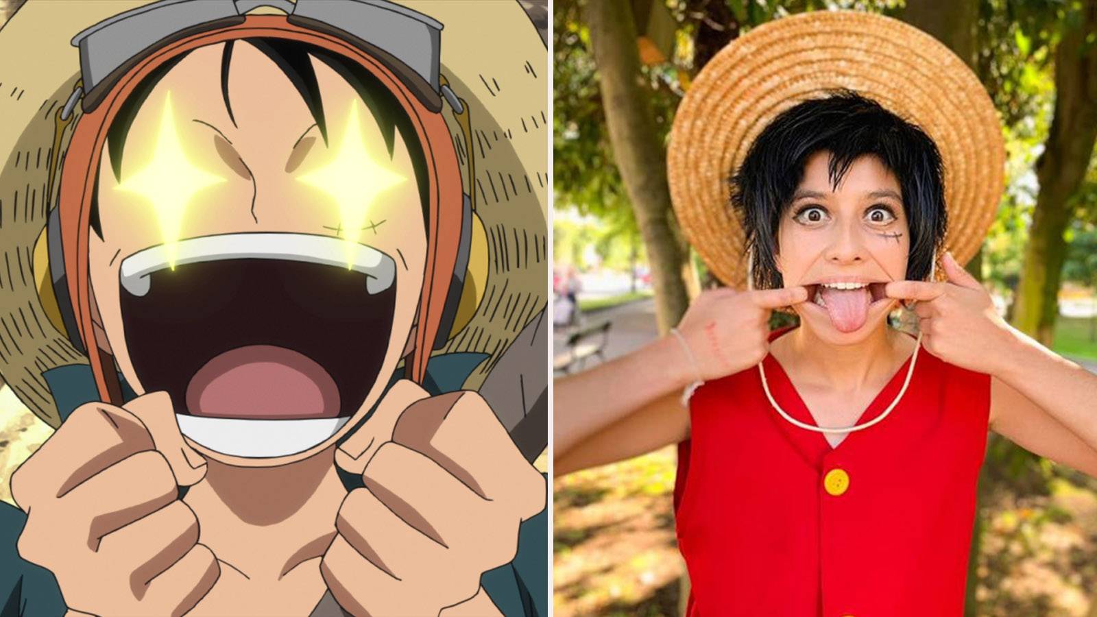 Cosplay De One Piece Luffy One Piece Luffy Cosplay Popular Anime
