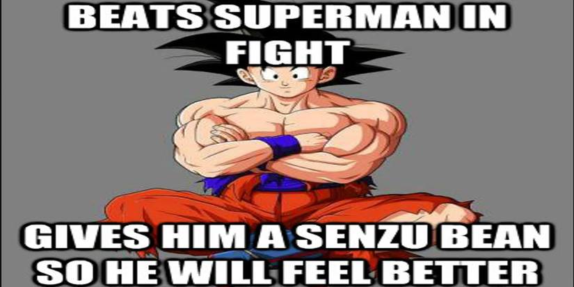 10 Hilarious Dragon Ball Memes That Prove Goku Is Stronger Than Superman