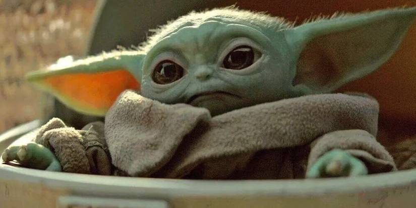 Star Wars: Every OTHER Member of Yoda's Species, Explained