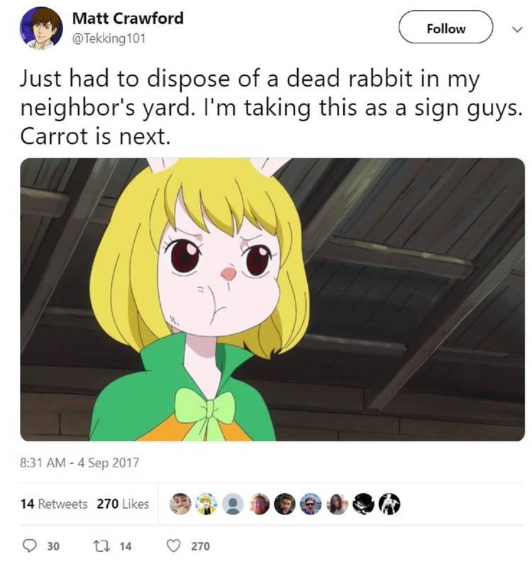 One Piece: 10 Best Carrot Memes