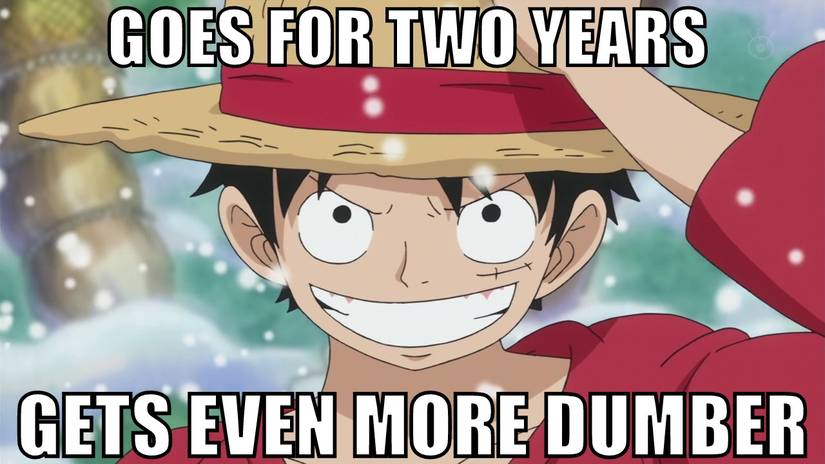 One Piece: 10 Luffy Memes That Only True Fans Will Understand
