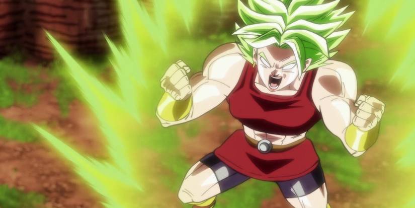 Dragon Ball Super Character Guide