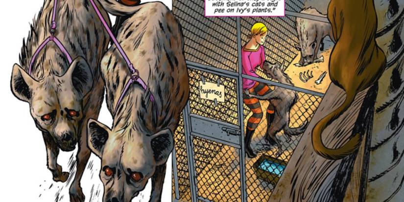 DC: 10 Things You Didn’t Know About Harley Quinn’s Pet Hyenas
