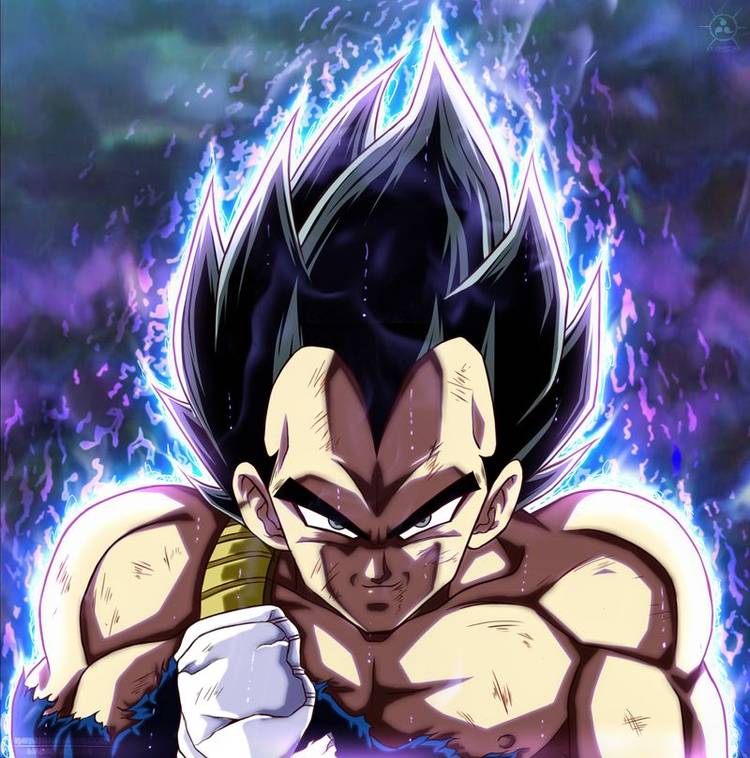 Dragon Ball Super: 10 Incredible Fan Art Versions Of Ultra Instinct Vegeta
