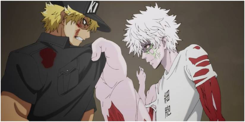Cells at Work!: 5 Illnesses The Show Should've Explored (& 5 We're Glad ...