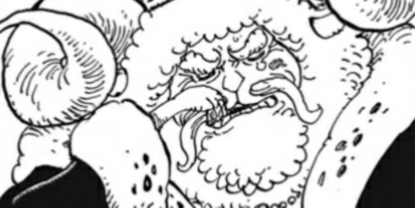 One Piece: 10 Strongest Mink Tribe Members