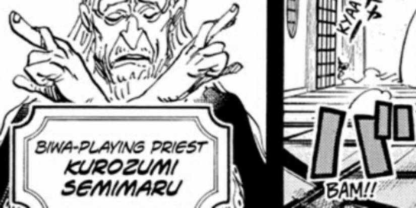 One Piece: Every Devil Fruit Users That Has Died