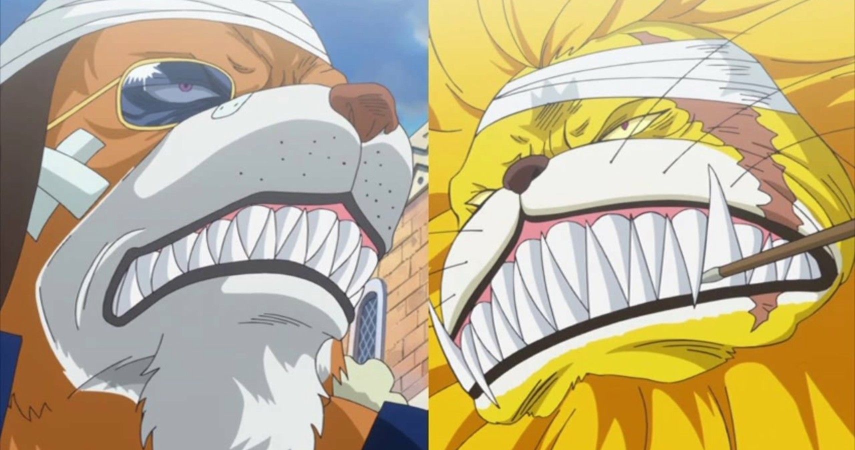 One Piece: 10 Strongest Mink Tribe Members