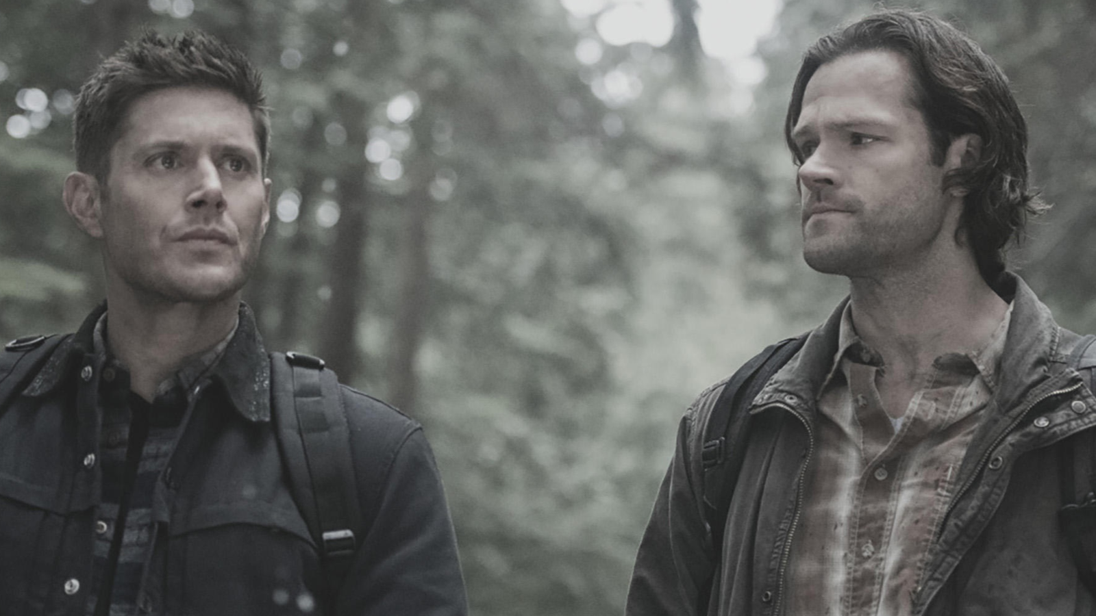 Supernatural Plans to Restart Filming in Late Summer