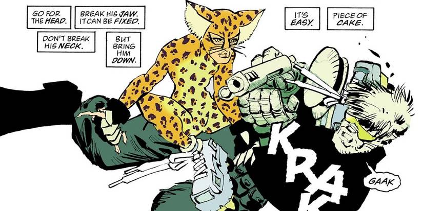 Batman: 10 Things To Know About Carrie Kelley, The Robin Of The Future