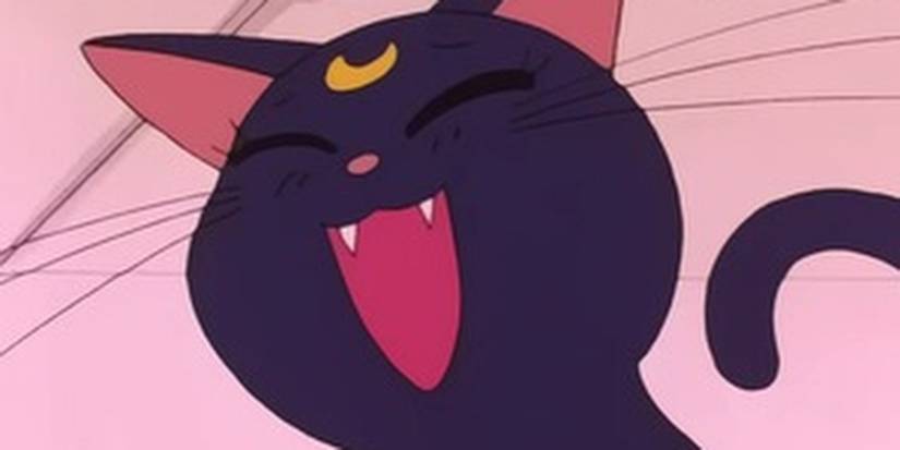 Sailor Moon: 10 Questions About Luna, Answered