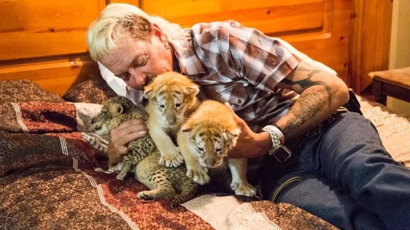Tiger King: Why EVERYONE Is Talking About the Netflix Documentary