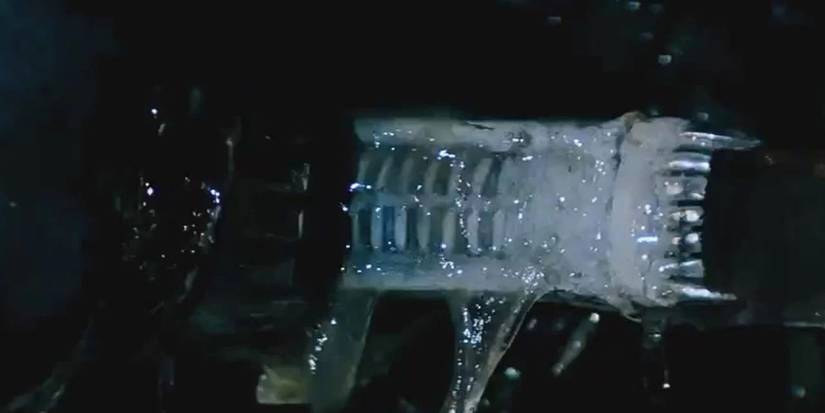 10 Things You Didn't Know About The Xenomorphs From Alien