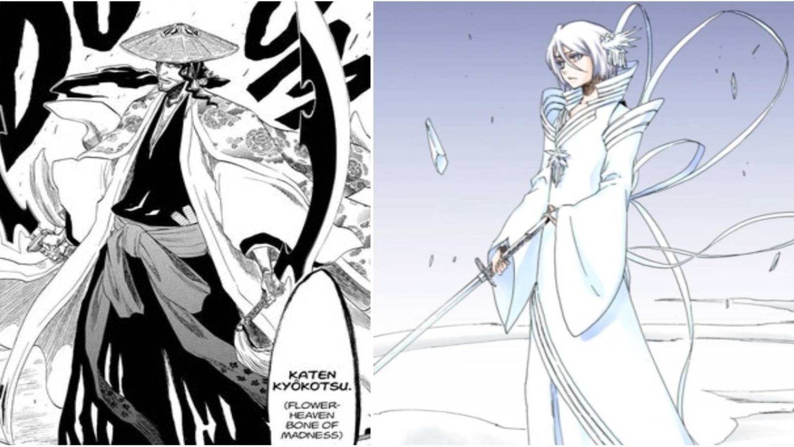 zanpakuto human form