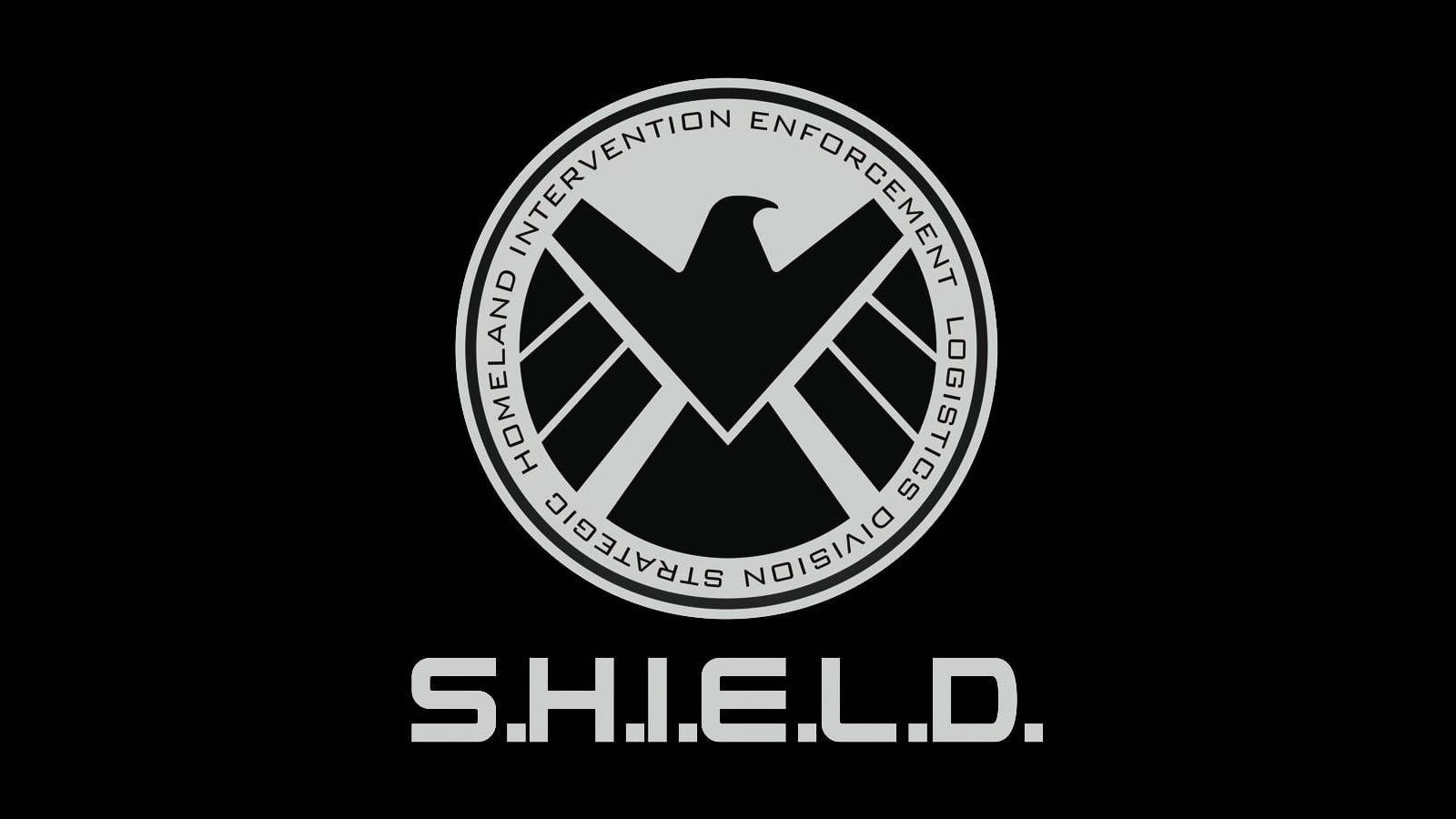 5 Marvel Heroes Who Would Make Great SHIELD Directors (& 5 Who Would Be ...
