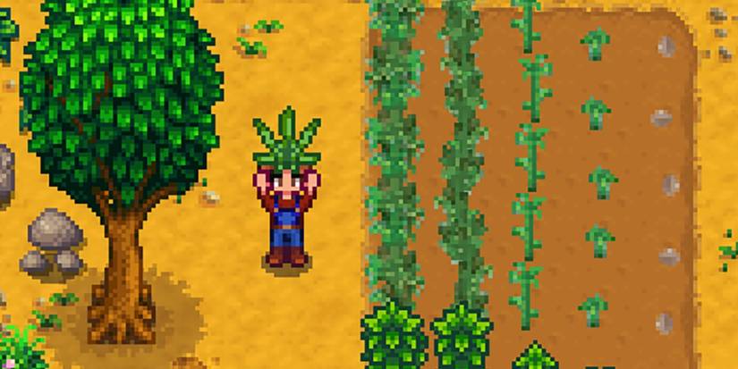 Stardew Valley: How to Get Maple Syrup