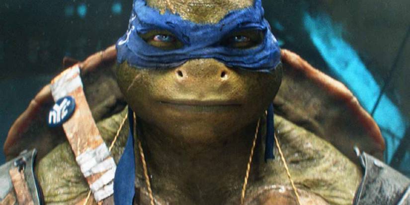 TMNT Anatomy: The Weirdest Things About the Ninja Turtles' Bodies