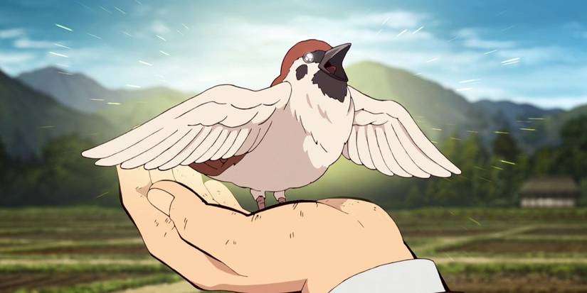 10 Most Iconic Pets In Anime History, Ranked