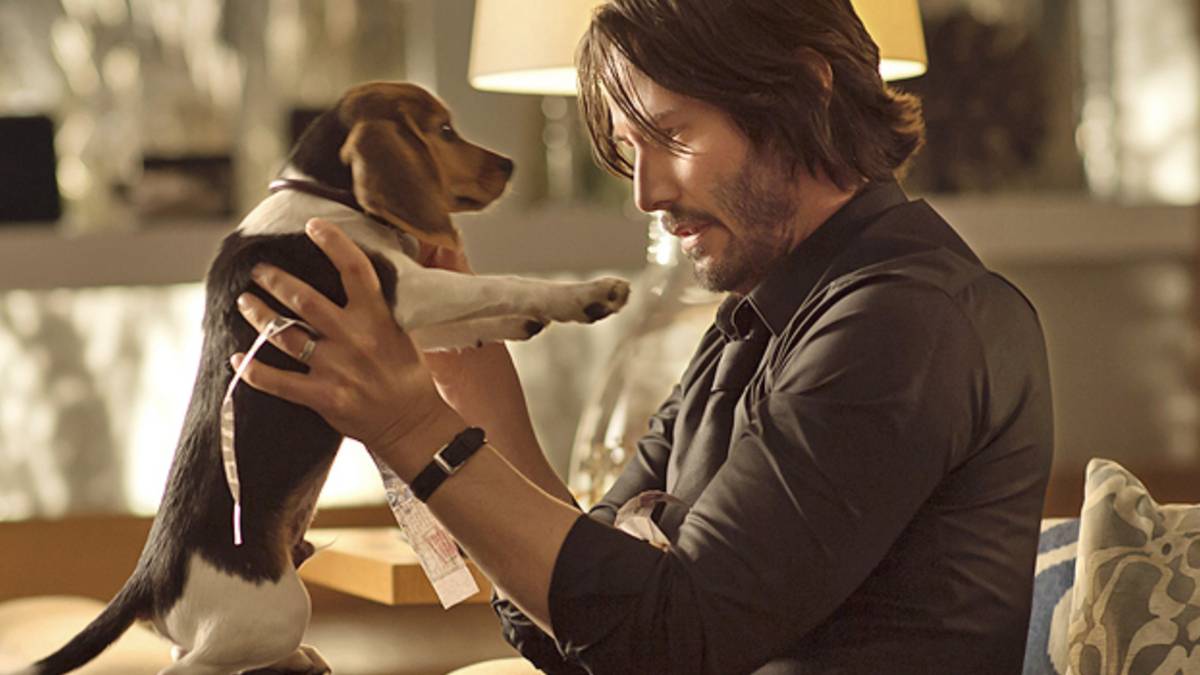 John Wick Filmmakers Almost Removed the Dog From the Script Entirely