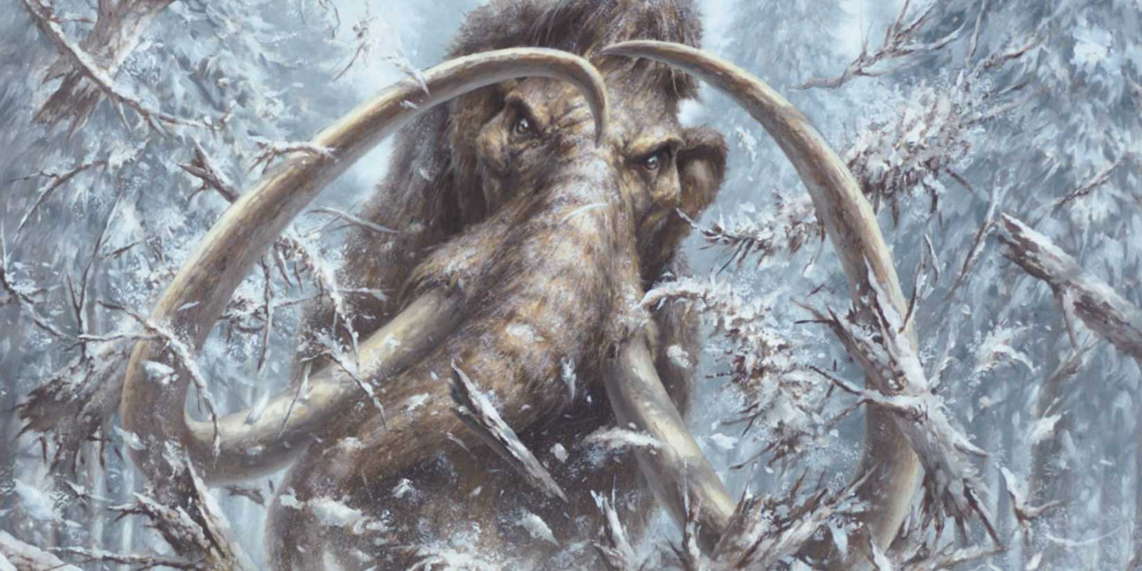 10 Biggest Druid Class Changes in D&D 5e 2024