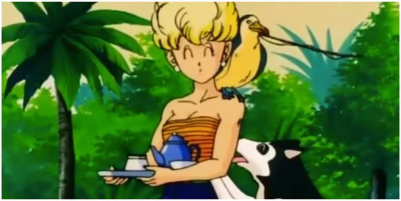 Dragon Ball: 5 Terrible Wishes People Made (& 5 That Actually Made Sense)