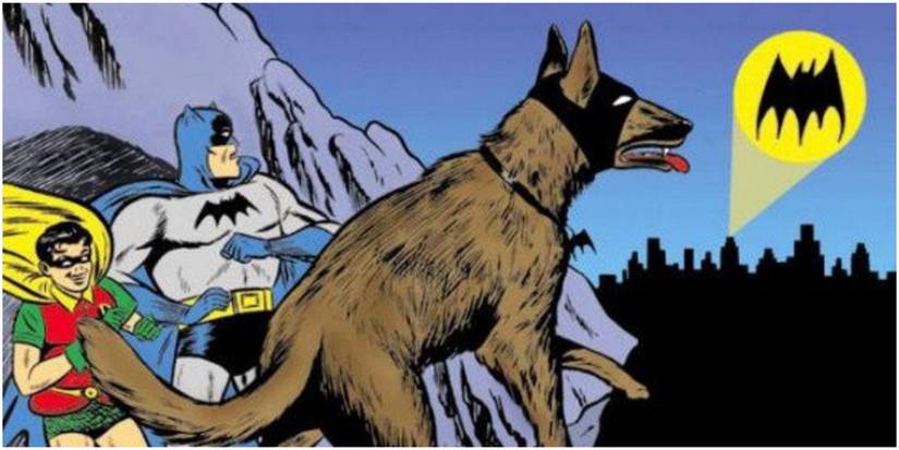 10 Most Iconic Pets In DC Comics, Ranked