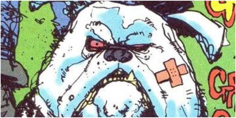 10 Most Iconic Pets In DC Comics, Ranked