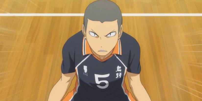 Haikyuu's Karasuno Volleyball Team, Explained