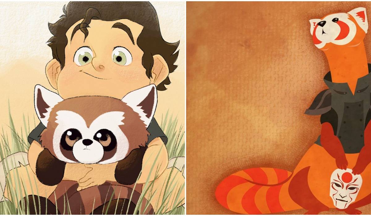 Lenda Do Vetor Korra Pabu Lenda De Korra, Estado De Korra Avatar Papel