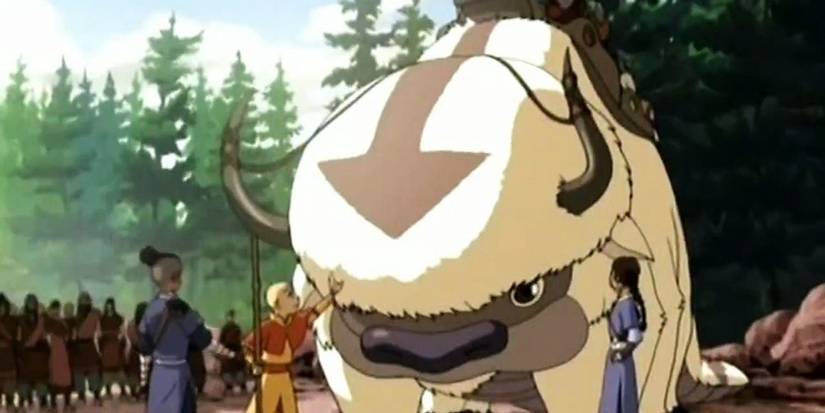 Avatar: 10 Things Fans Don't Know About Appa