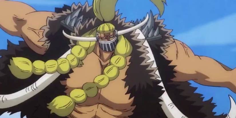 10 One Piece Characters That Don't Look Their Age