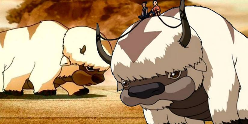 Avatar: 10 Things Fans Should Know About Airbending