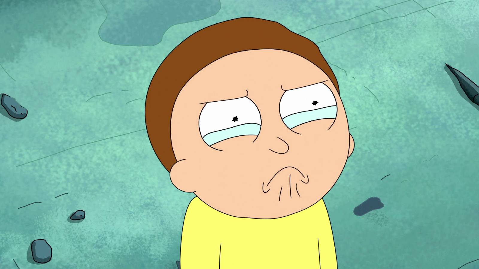 Rick And Morty: 5 Times We Felt Bad For Morty (& 5 Times We Hated Him)