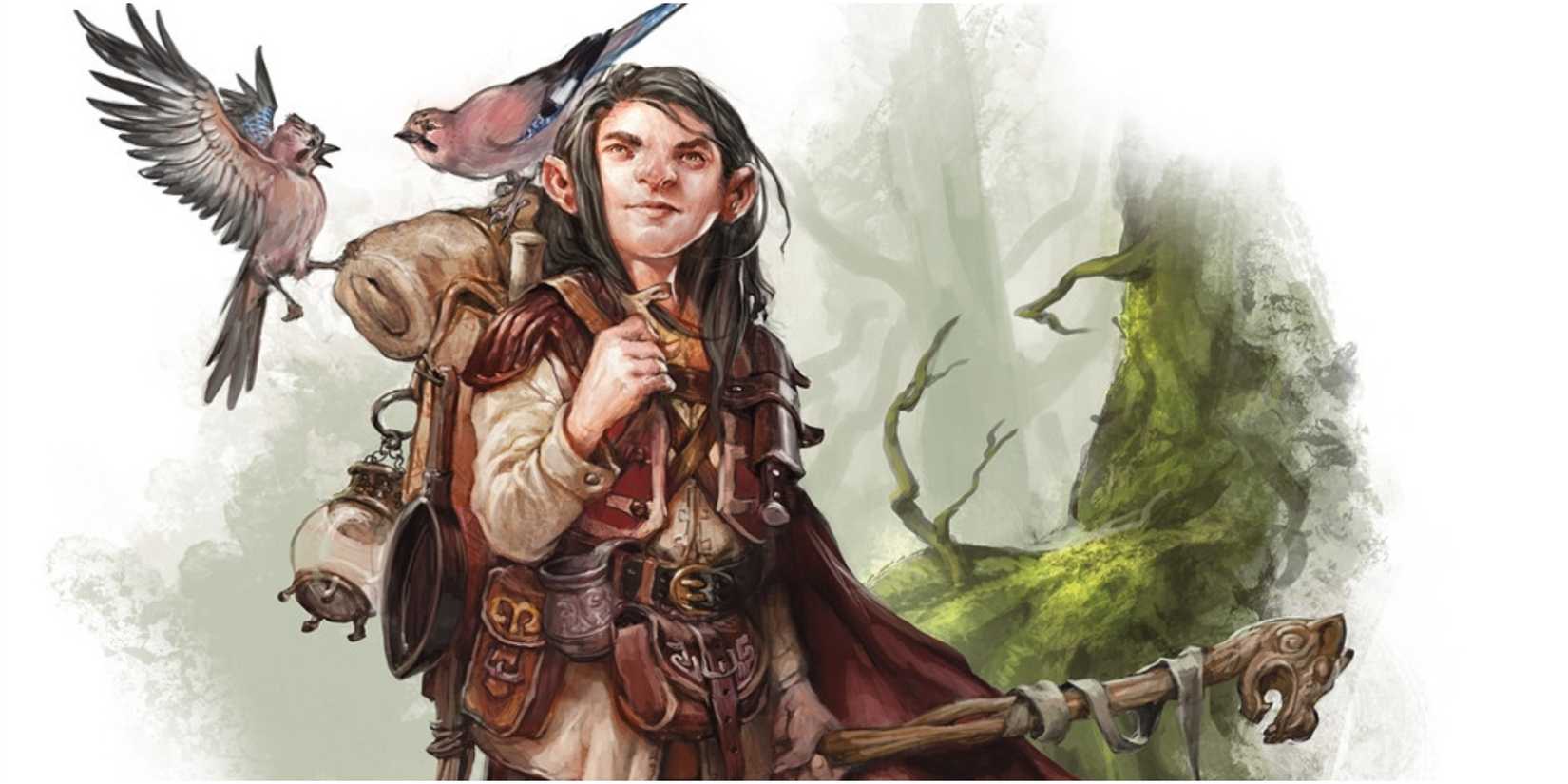 The Best Circle Of The Moon Druid Build For DnD 5e