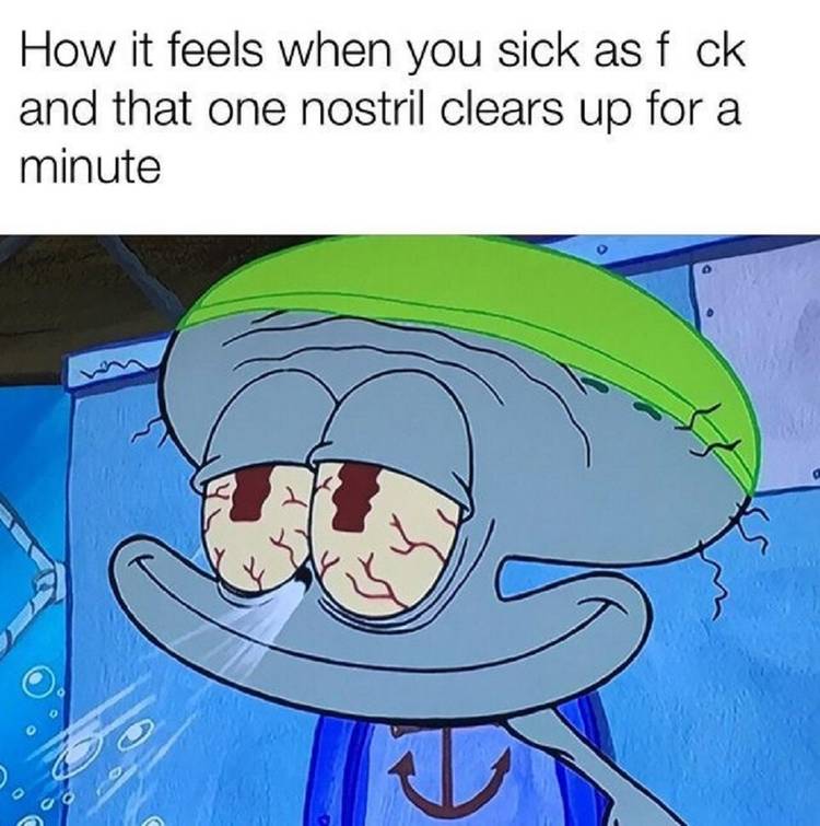 10 Squidward Memes That Speak To Our Tired Souls