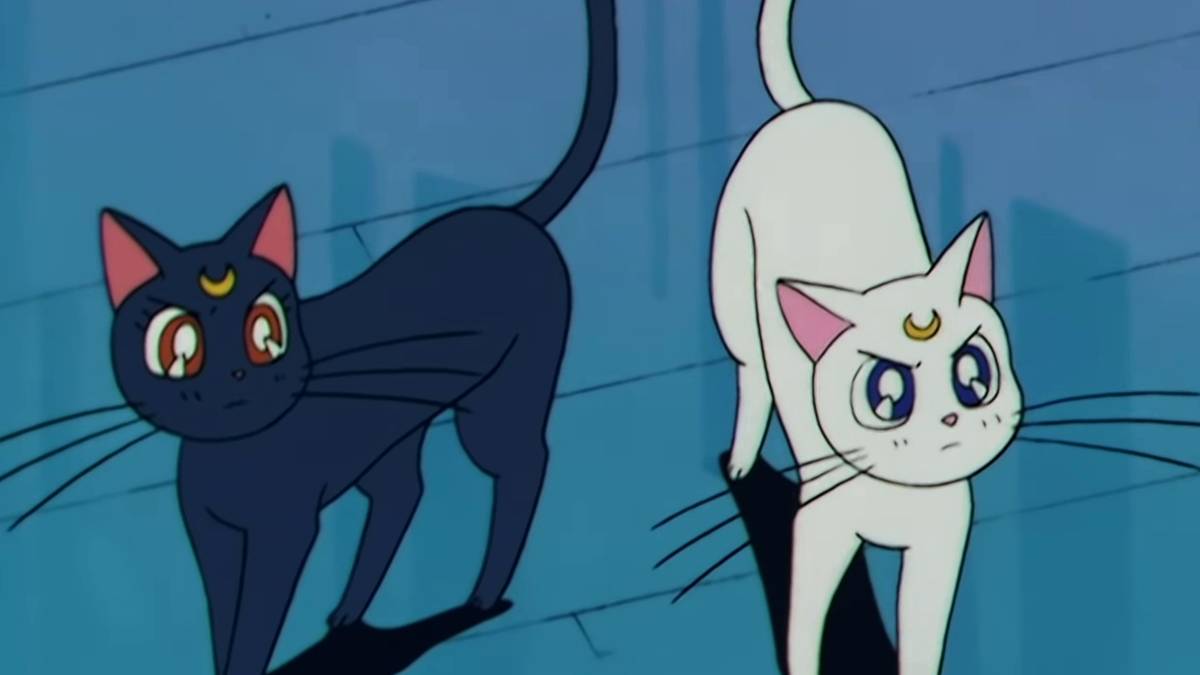 Script for "Luna Artemis"