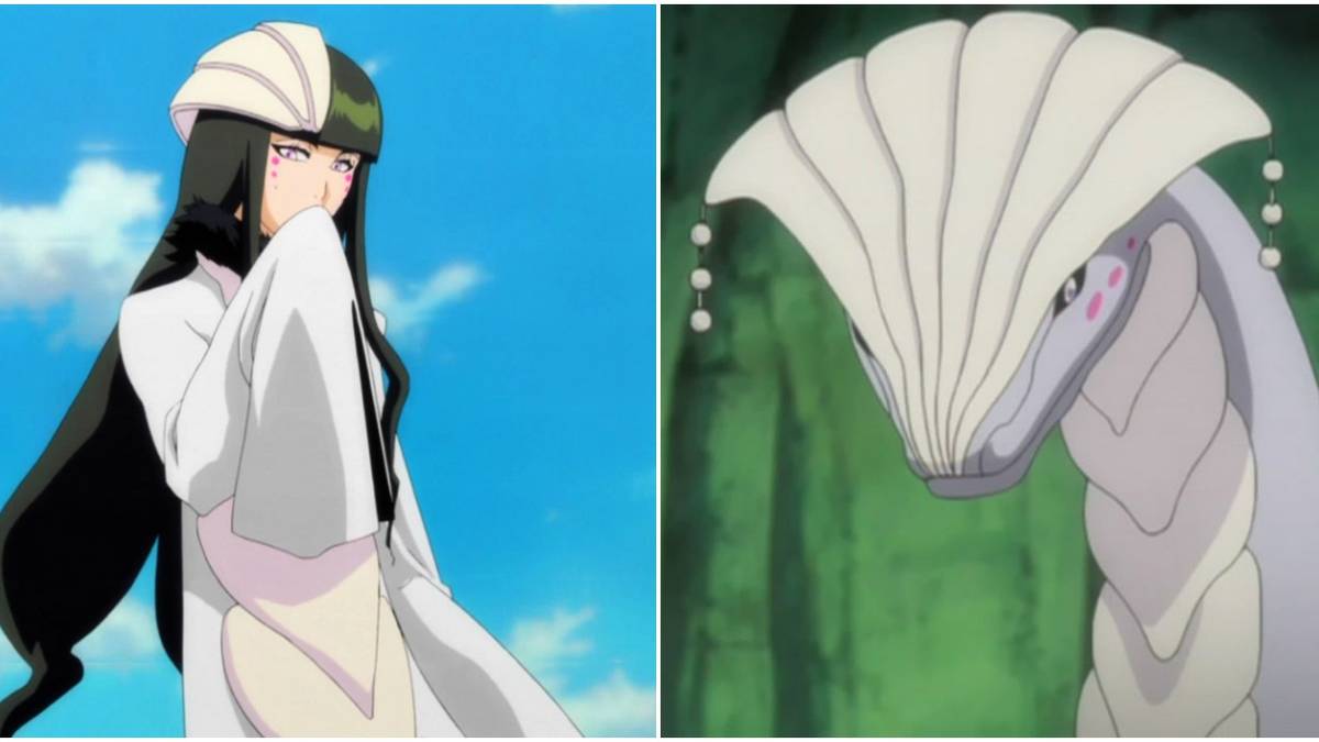 Bleach: 10 Things Fans Should Know About Sung-Sun