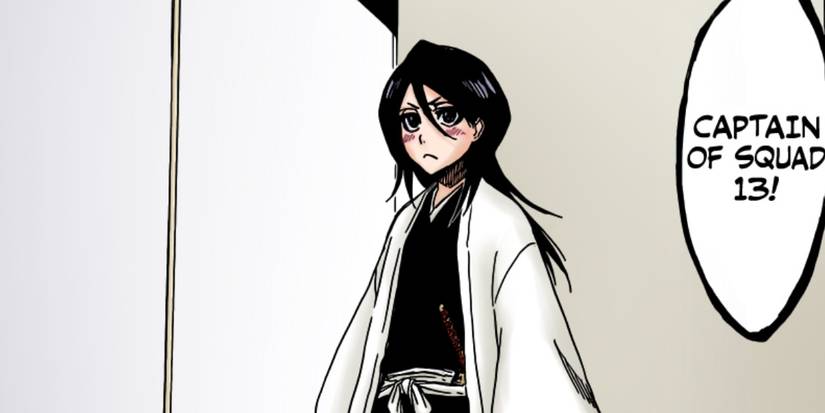 Bleach: The Gotei 13's Newest Officers