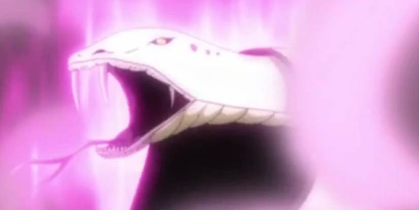 Bleach: 10 Things Fans Should Know About Sung-Sun
