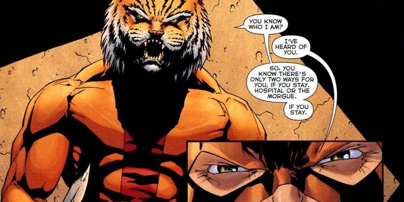 DC: The 10 Strongest Hand-To-Hand Fighters