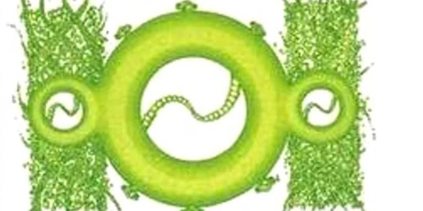 DC: 10 Totally Bizarre Lanterns That Make No Sense