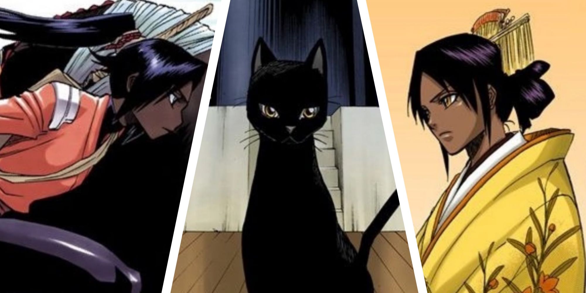 Bleach Yoruichi Cat Form Pose