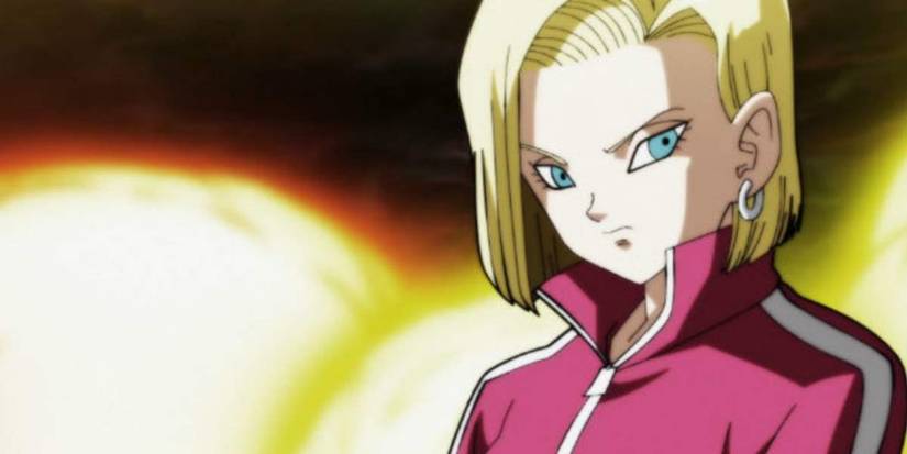 Top 10 Dragon Ball Waifus, Ranked