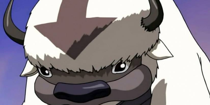 Avatar: 10 Things Fans Don't Know About Appa