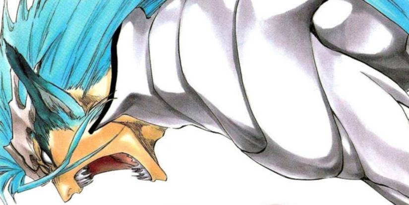 Bleach: 10 Best Story Arcs, Ranked