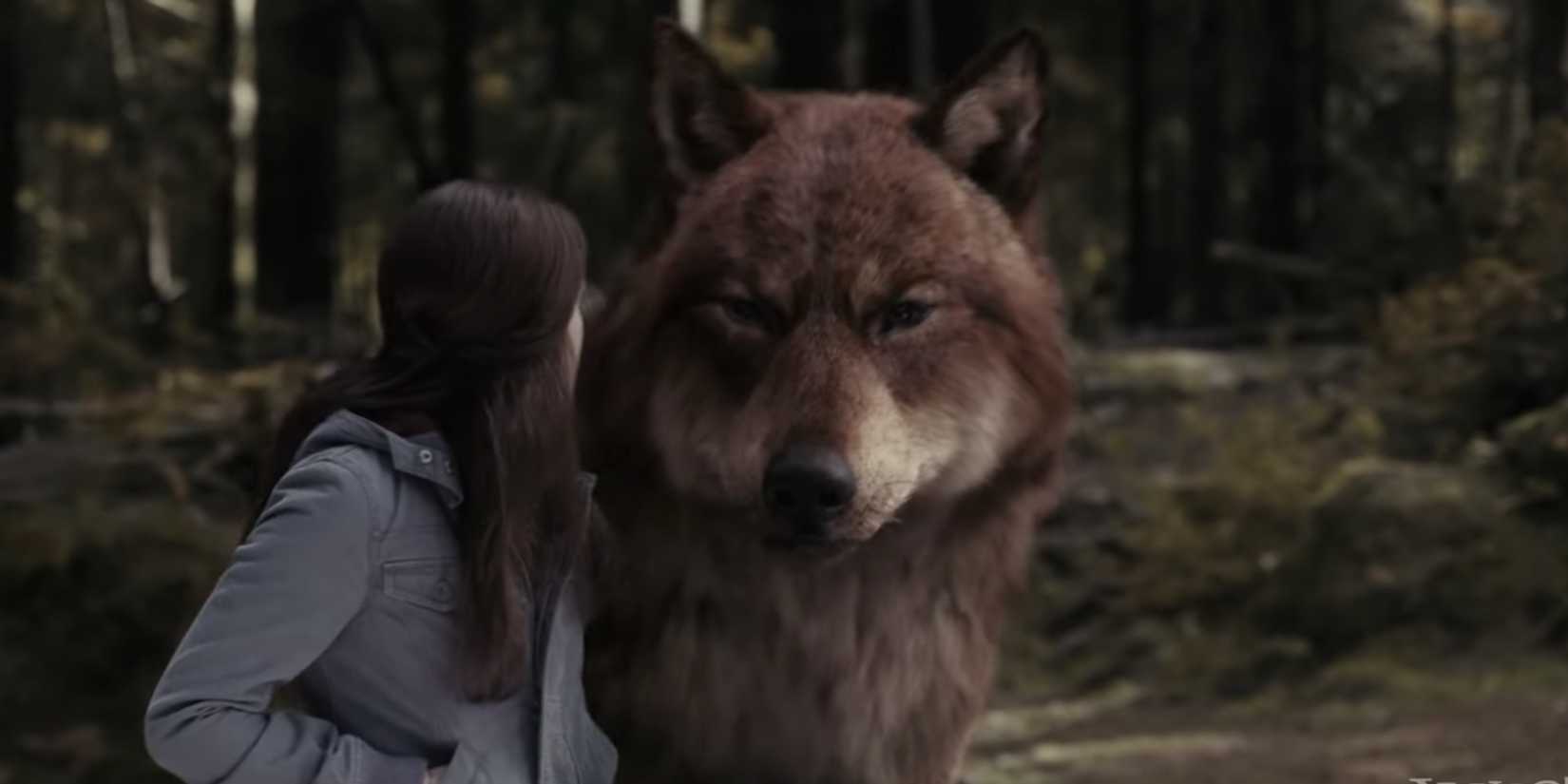 15 Devastating Twilight Scenes That Broke Fans' Hearts