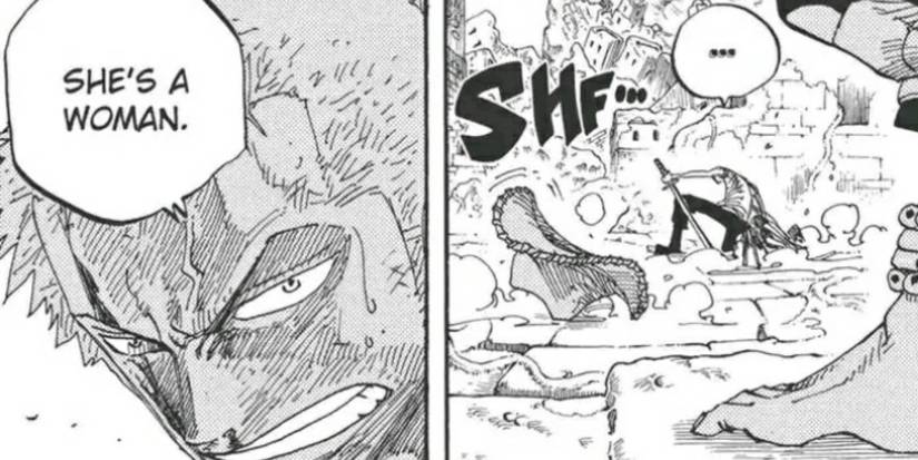 One Piece: 10 Ways Zoro Ruined His Likability